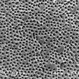 Dental Press – Avaliação do EDTA, vinagre de maçã e SmearClear, com e ...